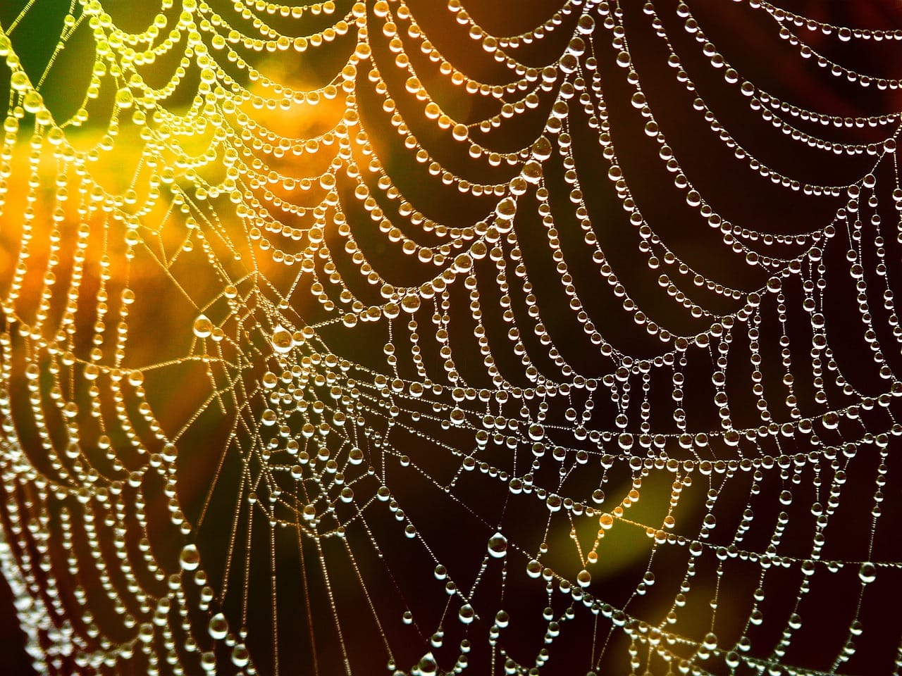 The Trap of the Eight Worldly Concerns – Lotus Center